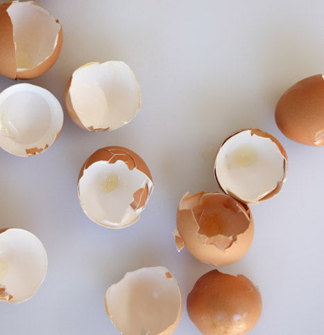 Using Eggshells – BakeClub